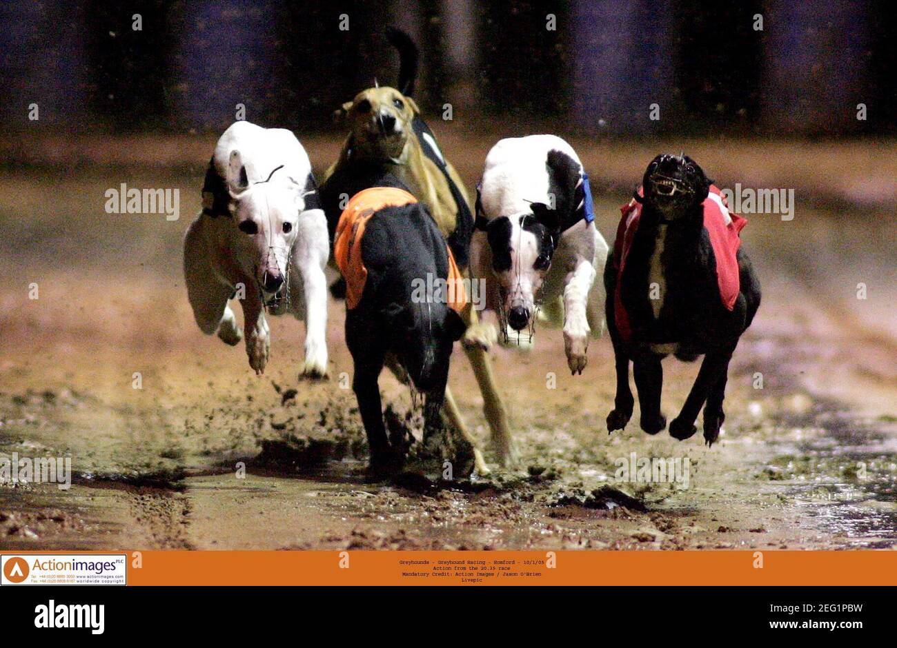 Romford greyhound racing hi-res stock photography and images - Alamy
