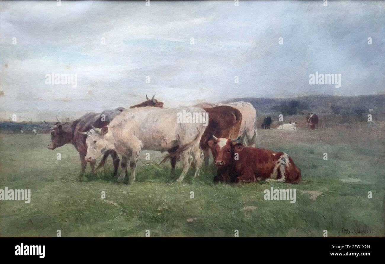 Otto Weber - Herd of Cows Stock Photo - Alamy