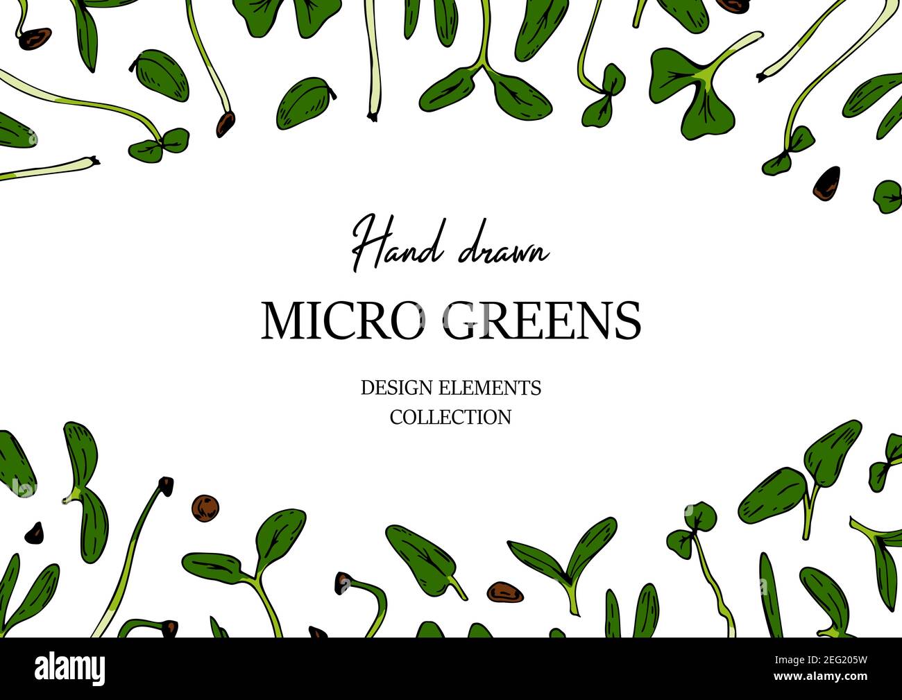 Hand drawn micro greens horizontal design. Healthy vegetarian and vegan ...