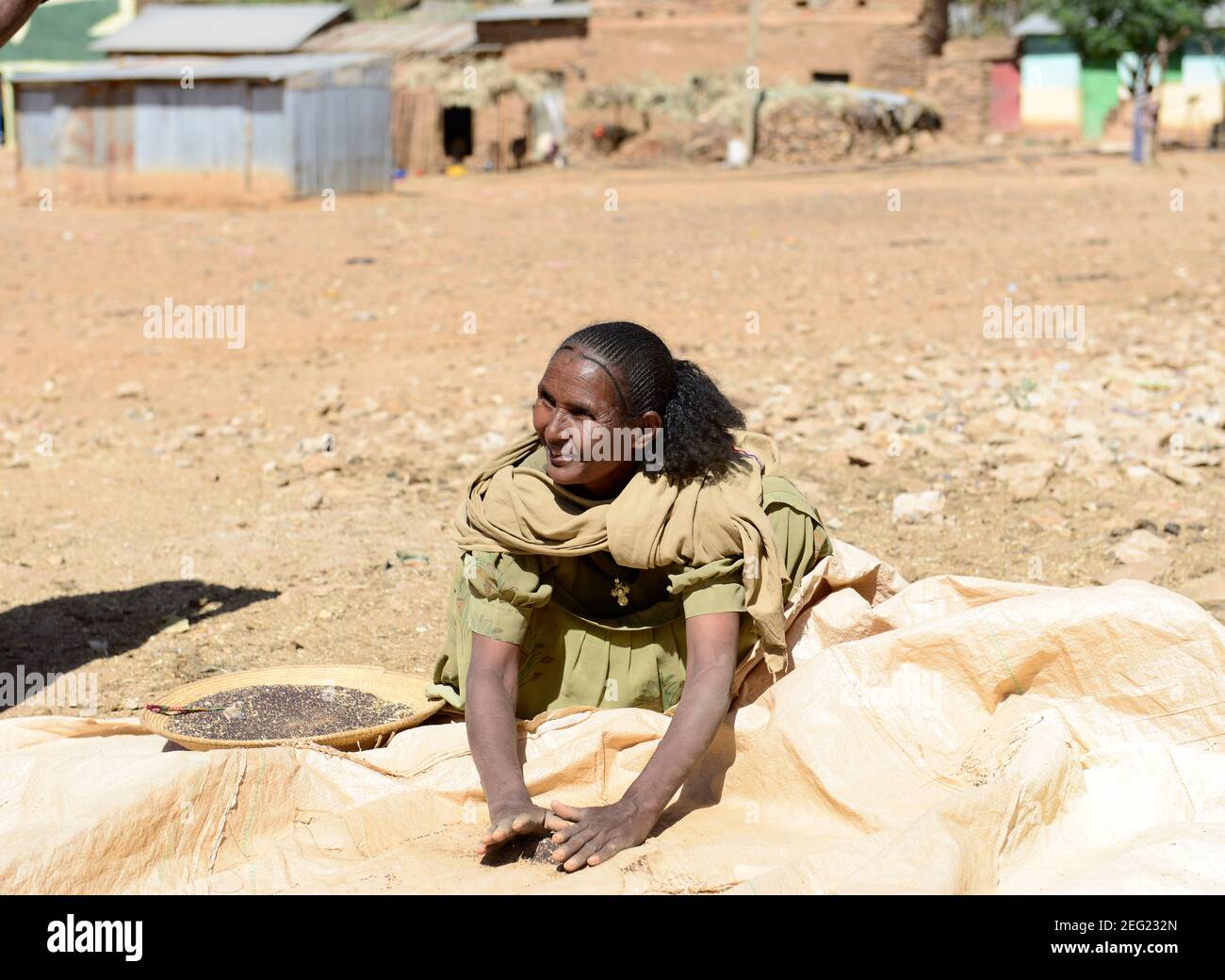Tigrayan people processing maze outside a milling station in the Tigray ...