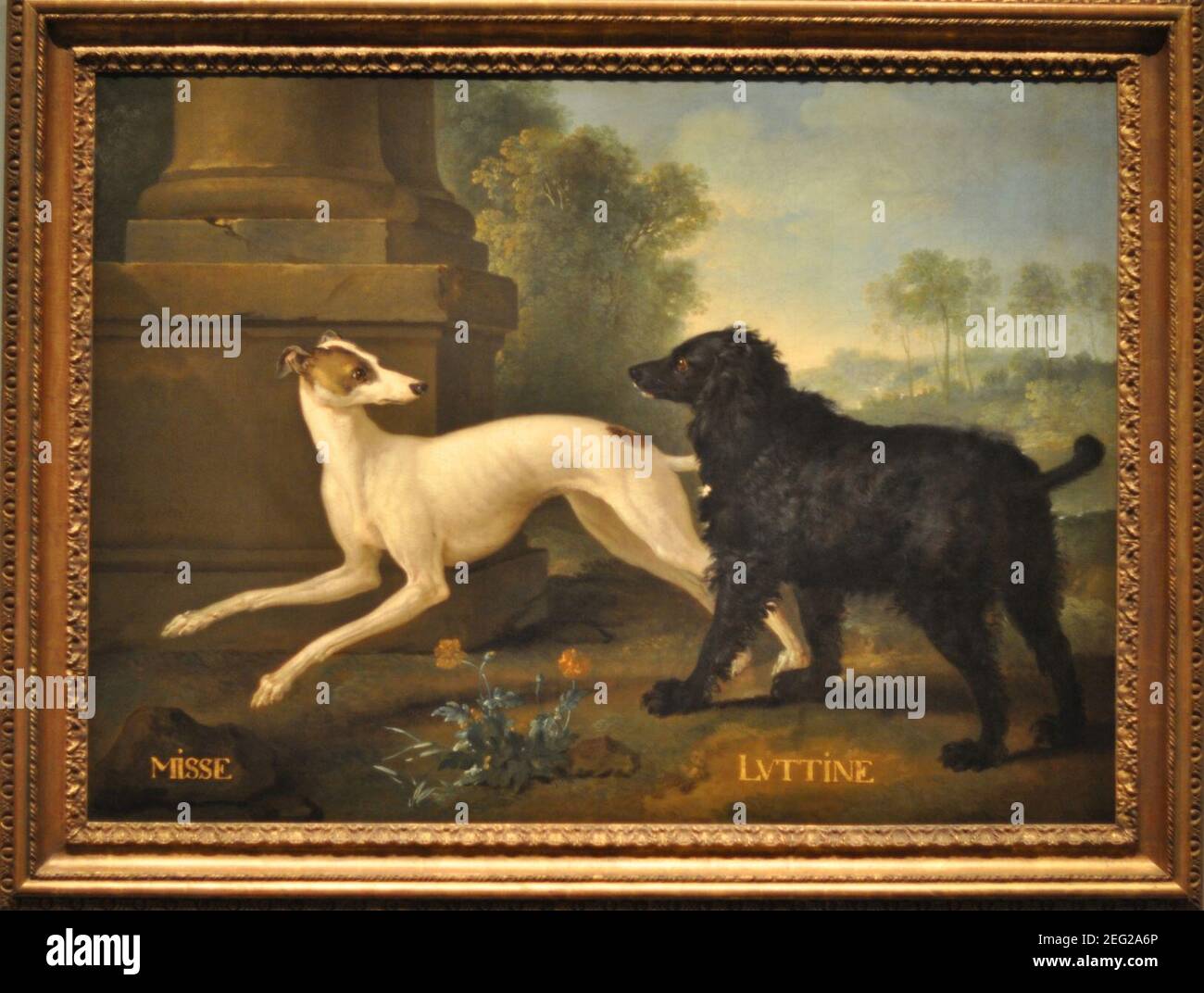 Lutine hi-res stock photography and images - Alamy