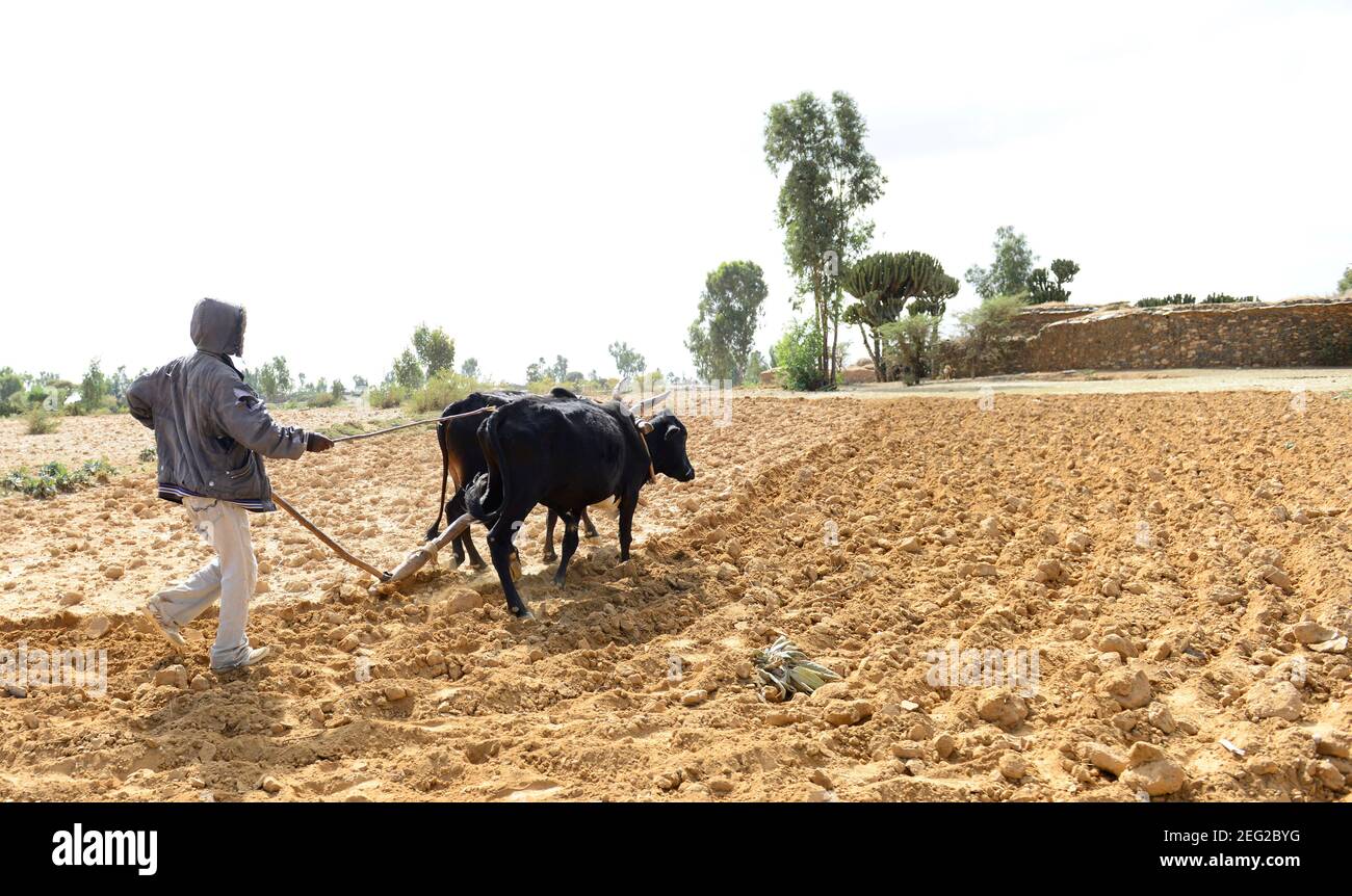 Land preparation hi-res stock photography and images - Alamy