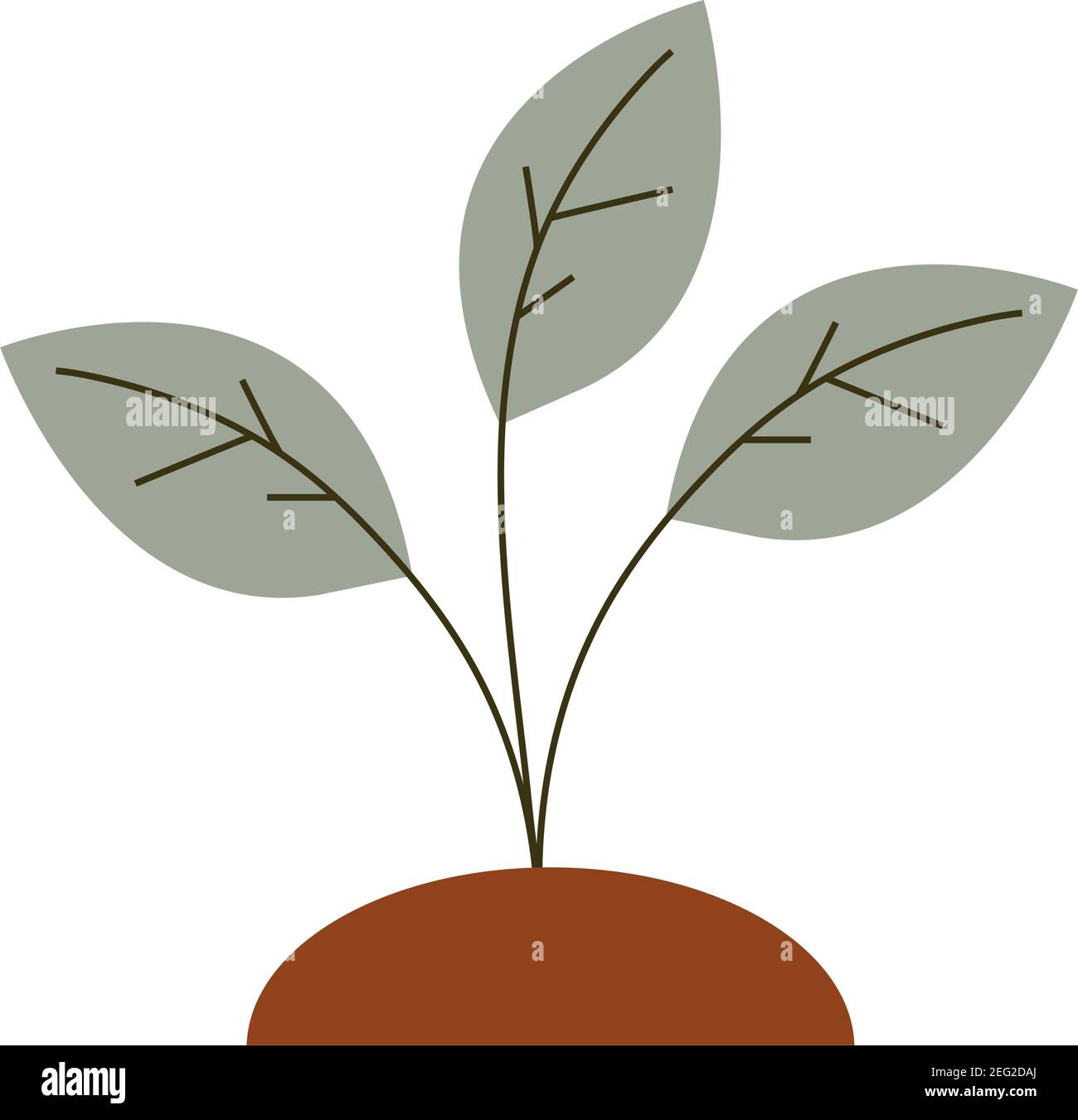gardening growth plant vector illustration icon on white background ...