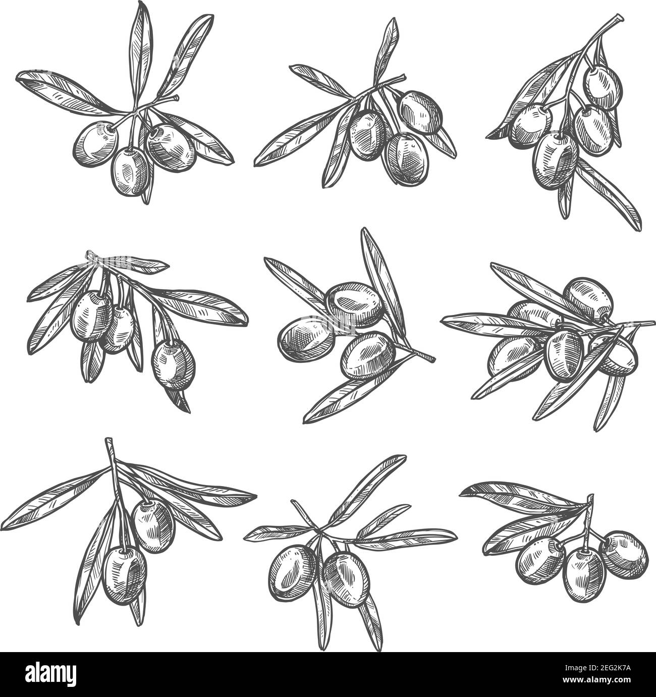 Olive oil icons black hi-res stock photography and images - Alamy