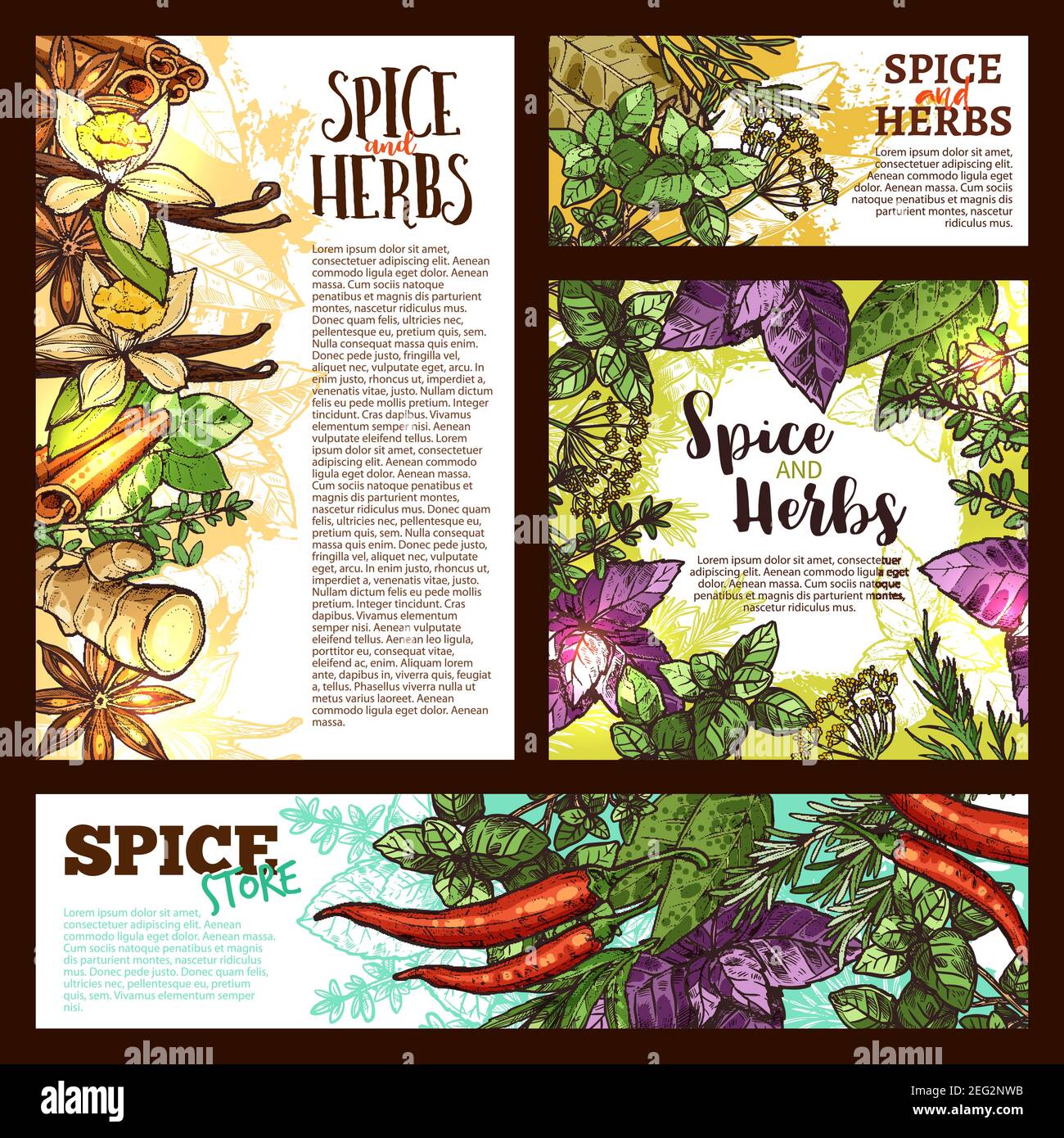 Thyme aromatic plant mint Stock Vector Images - Alamy