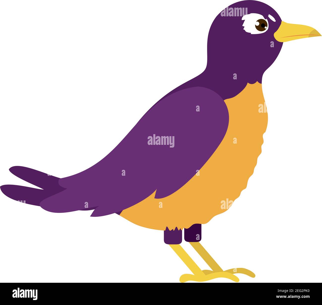 cute bird icon over white background, colorful design, vector ...