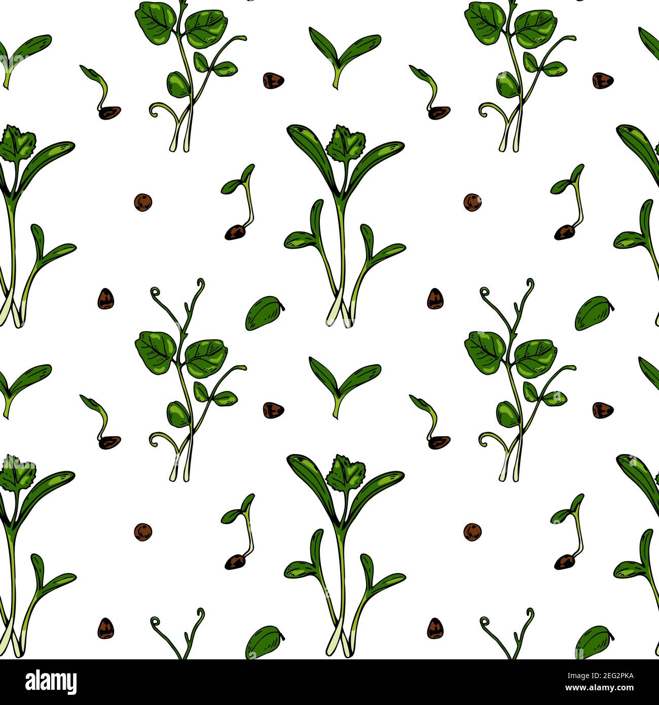 Hand drawn micro greens seamless pattern. Vector illustration in ...