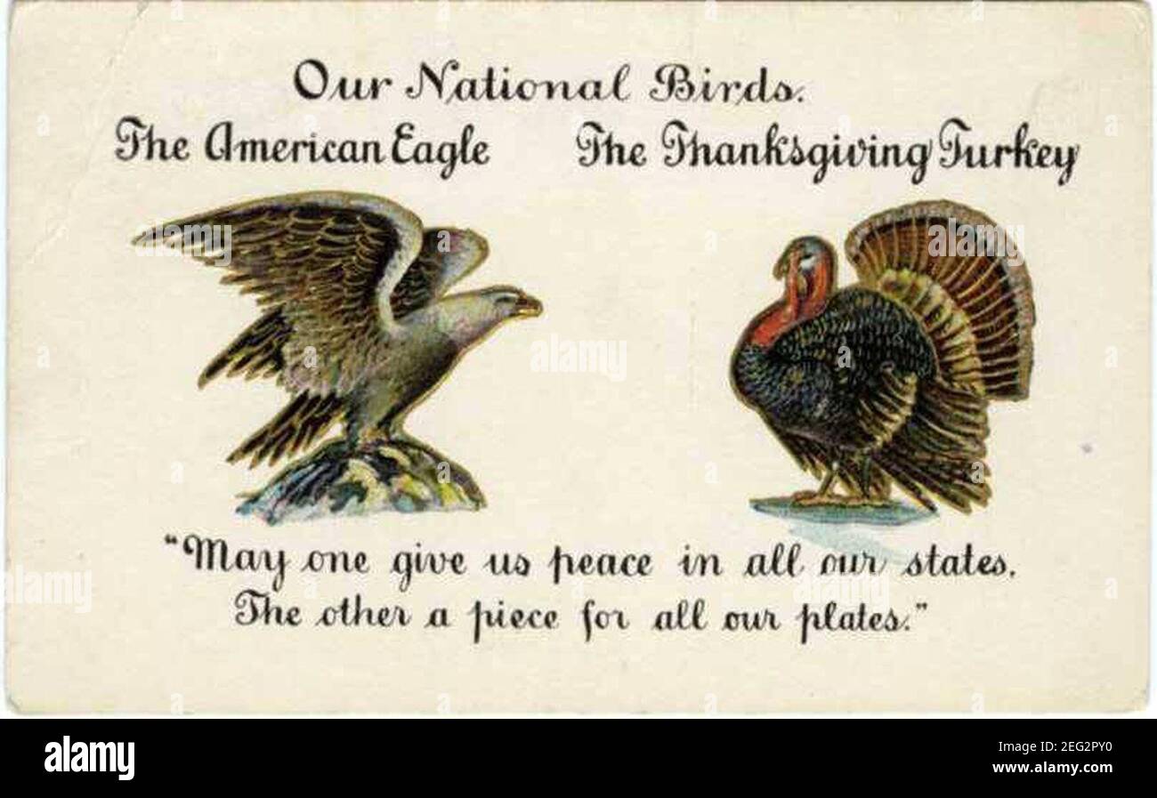Our National Birds, The American Eagle and the Thanksgiving Tuckey, May ...