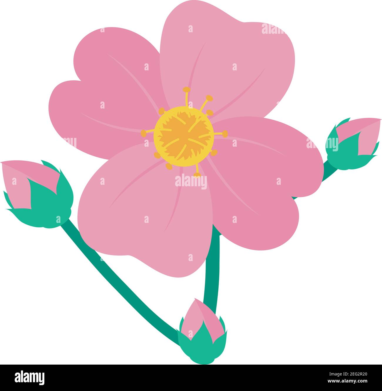 pink flowers icon over white background, colorful design, vector ...