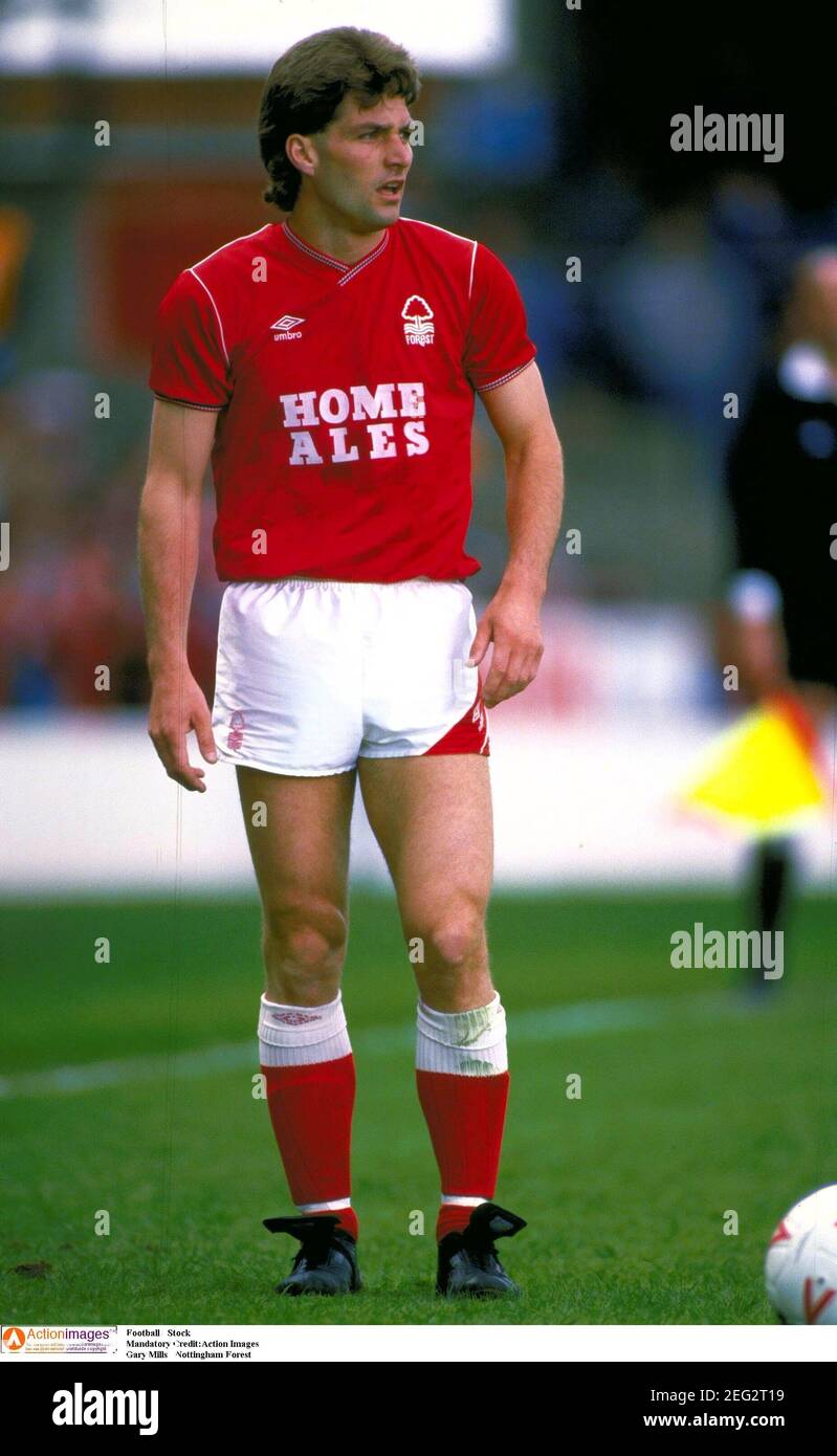 Gary mills forest hi-res stock photography and images - Alamy