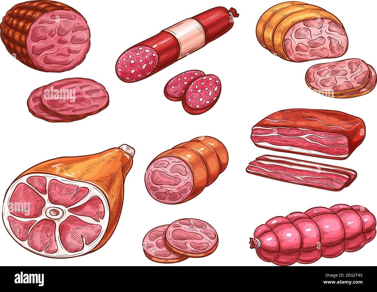 Sausage sketch set of beef and pork meat product. Ham, salami and bacon ...