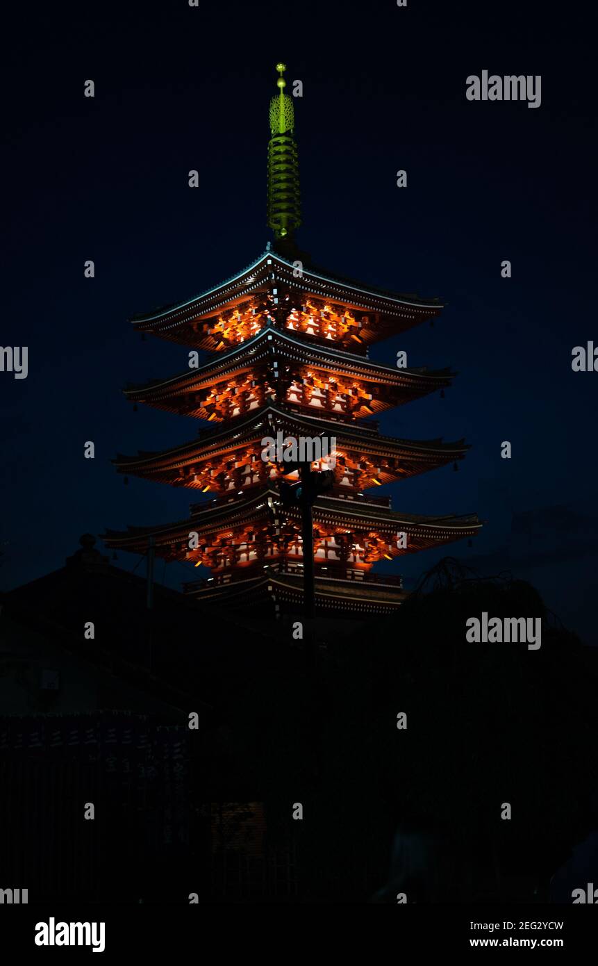 Night time sky garden hi-res stock photography and images - Alamy