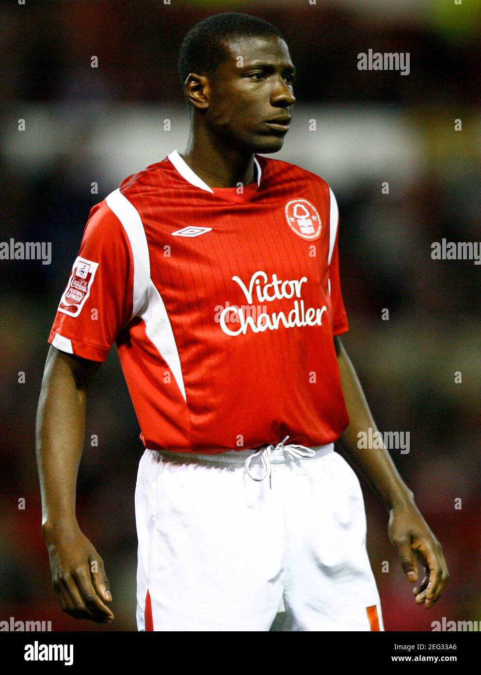 Guy moussi forest hi-res stock photography and images - Alamy