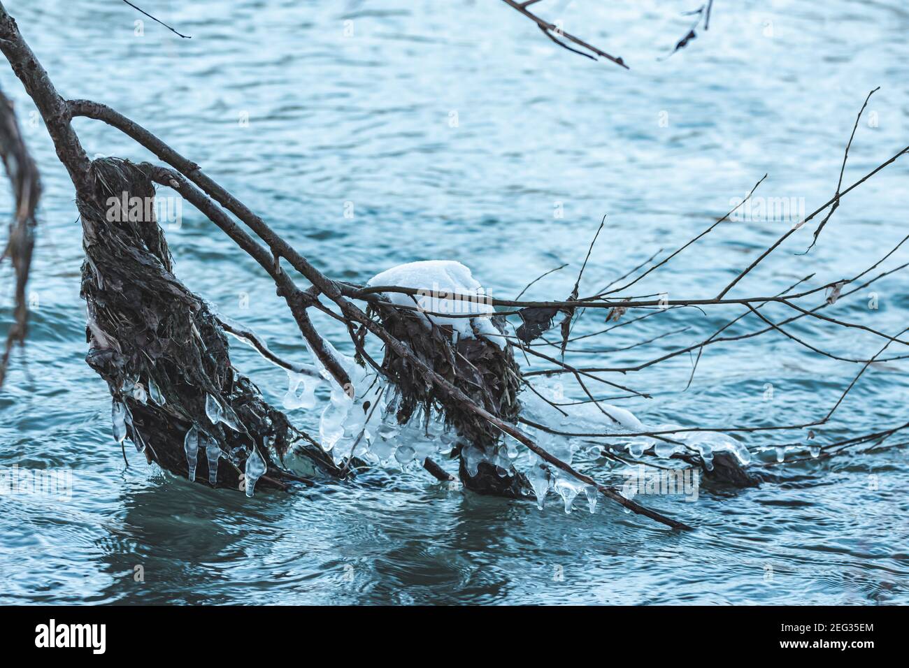 River with icy branches Stock Photo - Alamy
