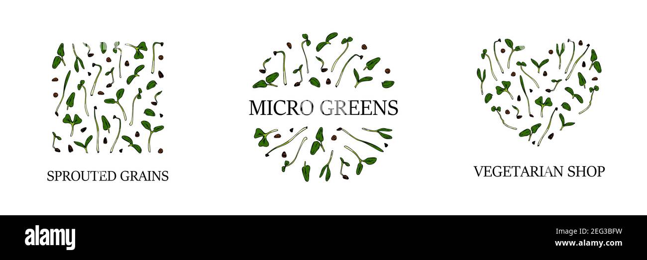 Set of hand drawn micro greens designs. Healthy vegetarian and vegan ...