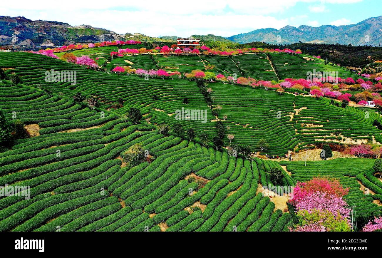 Longyan City, China. 17th Feb, 2021. Photo taken from aerial view shows ...