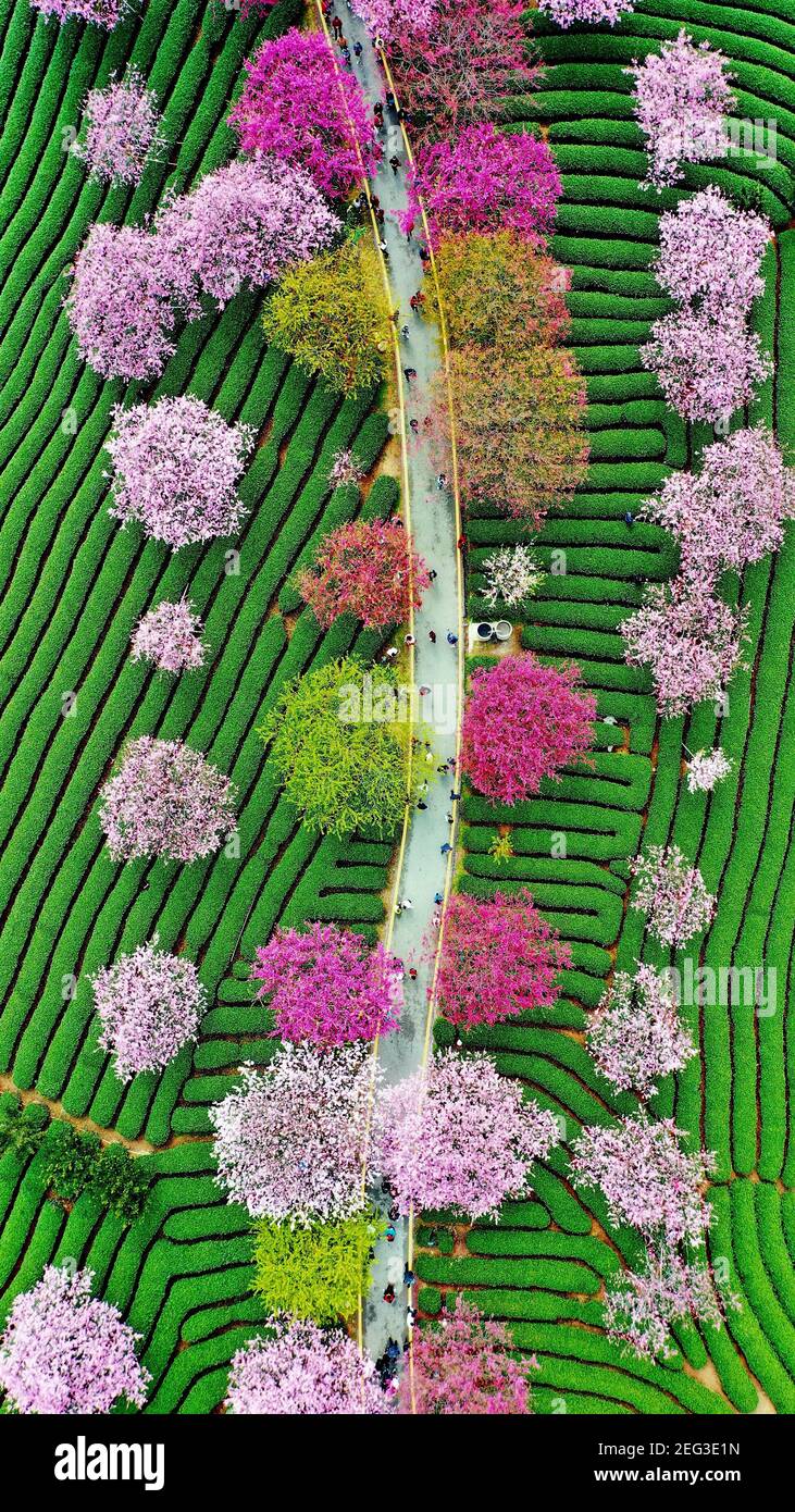 Longyan City, China. 17th Feb, 2021. Photo taken from aerial view shows ...