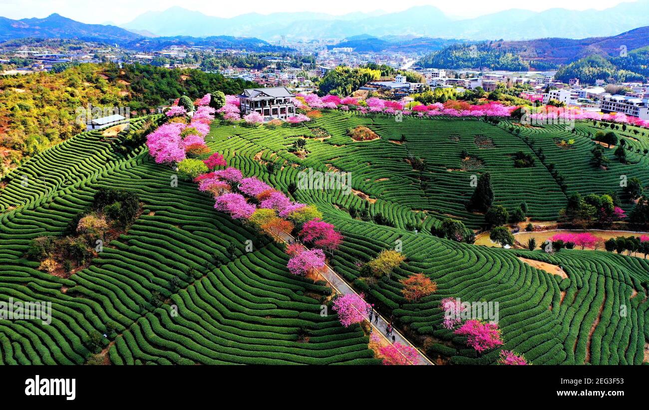 Longyan City, China. 17th Feb, 2021. Photo taken from aerial view shows ...