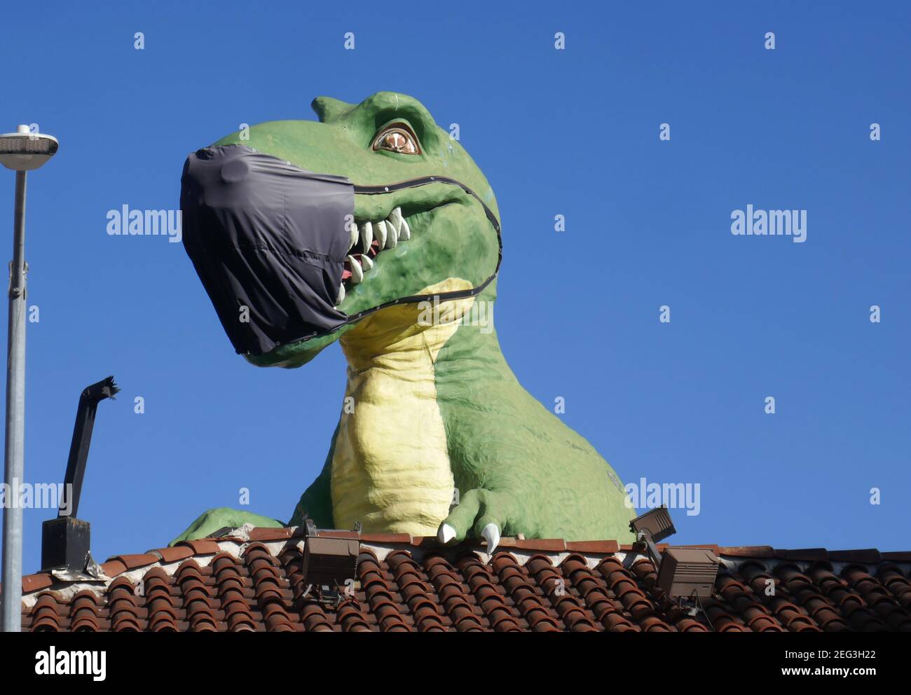 Hollywood, California, USA 17th February 2021 A general view of T Rex ...