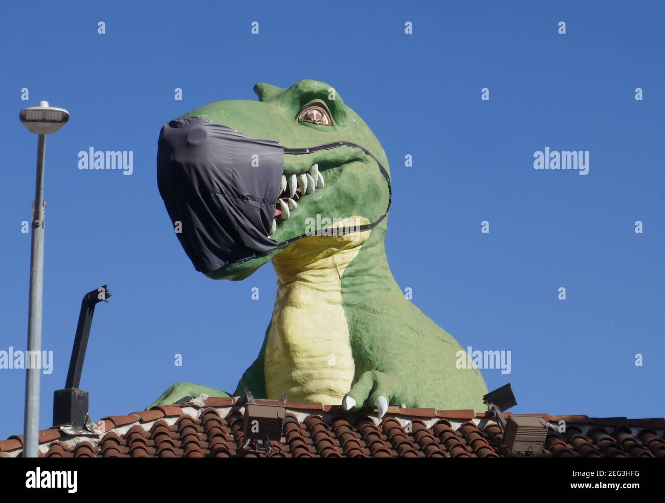 Hollywood, California, USA 17th February 2021 A general view of T Rex ...