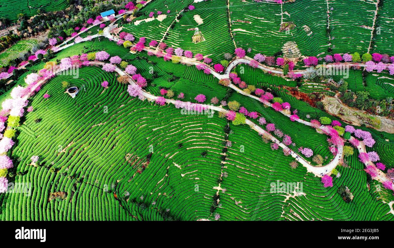 Longyan City, China. 17th Feb, 2021. Photo taken from aerial view shows ...