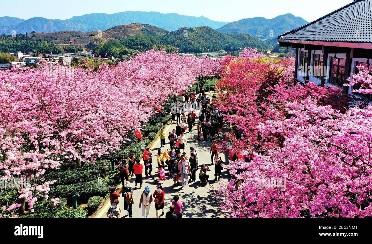 Longyan City, China. 17th Feb, 2021. Photo taken from aerial view shows ...