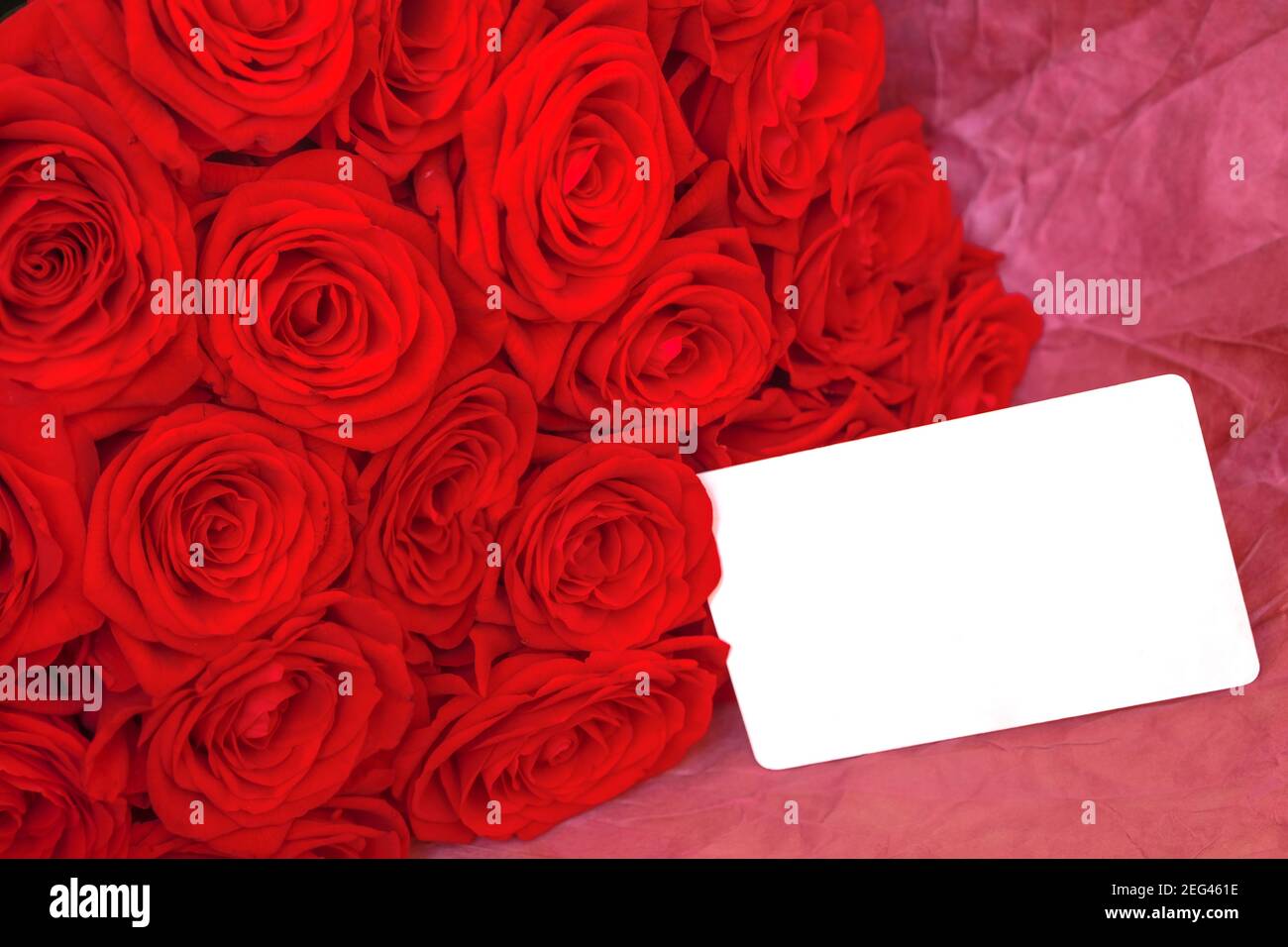 Bouquet of red roses with blank message sign for your text or message ...