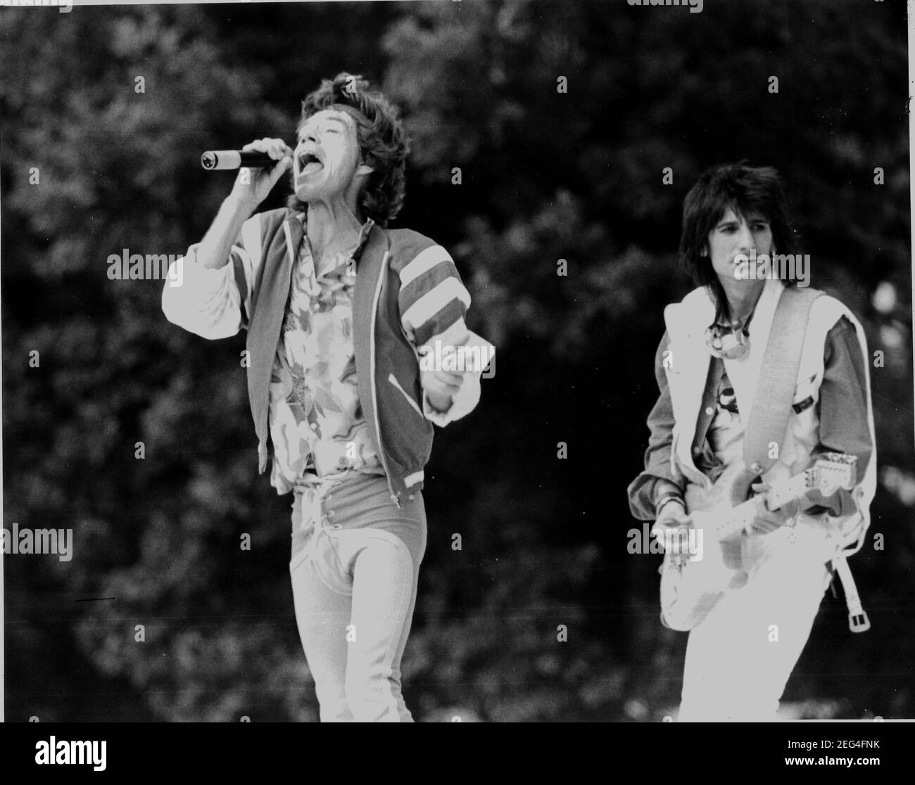 Mick Jagger and Ronnie Wood in action at Roundhay Park Leeds in the ...