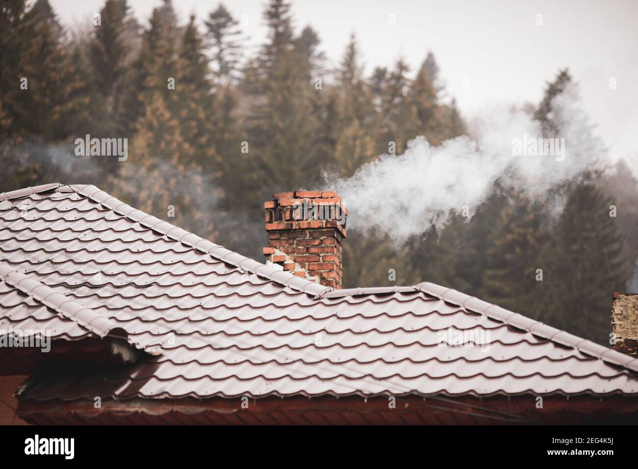 Smoking chimney with a cone trees forest in the background, in a ...