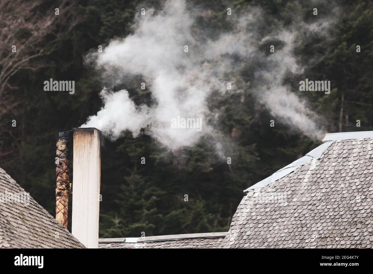 Smoking chimney with a cone trees forest in the background, in a ...
