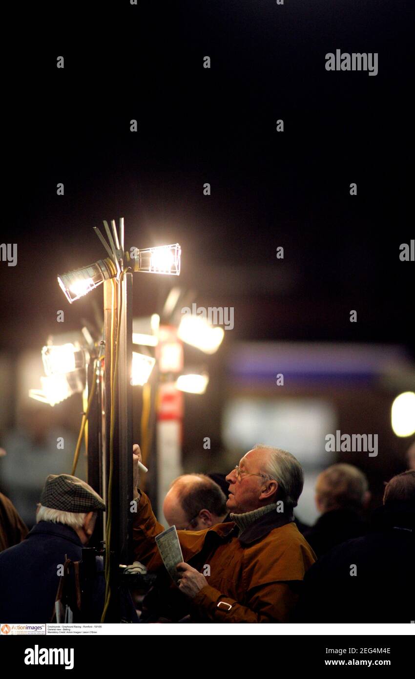 Romford greyhound racing hi-res stock photography and images - Alamy