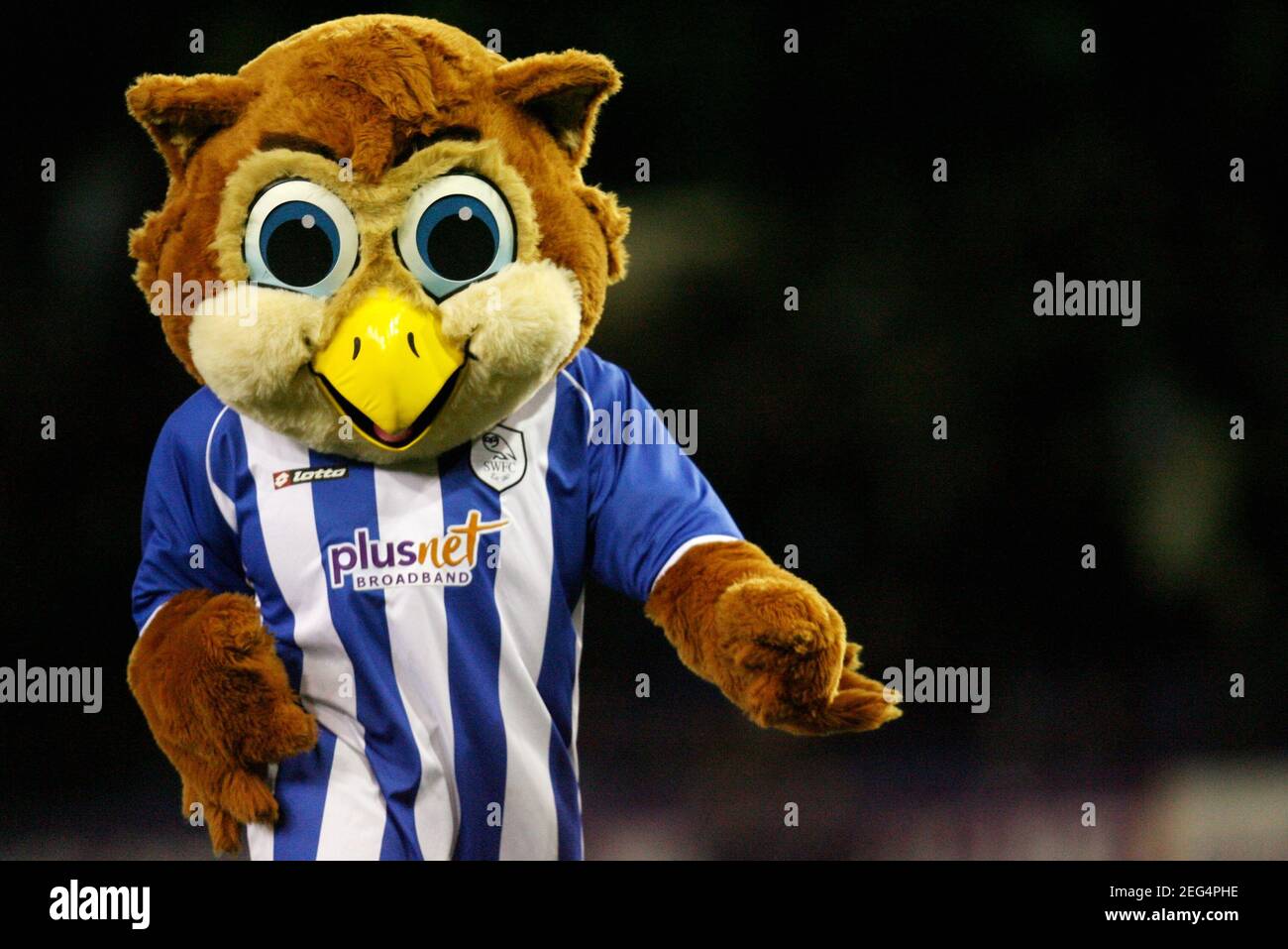 Sheffield wednesday mascot hi-res stock photography and images - Alamy