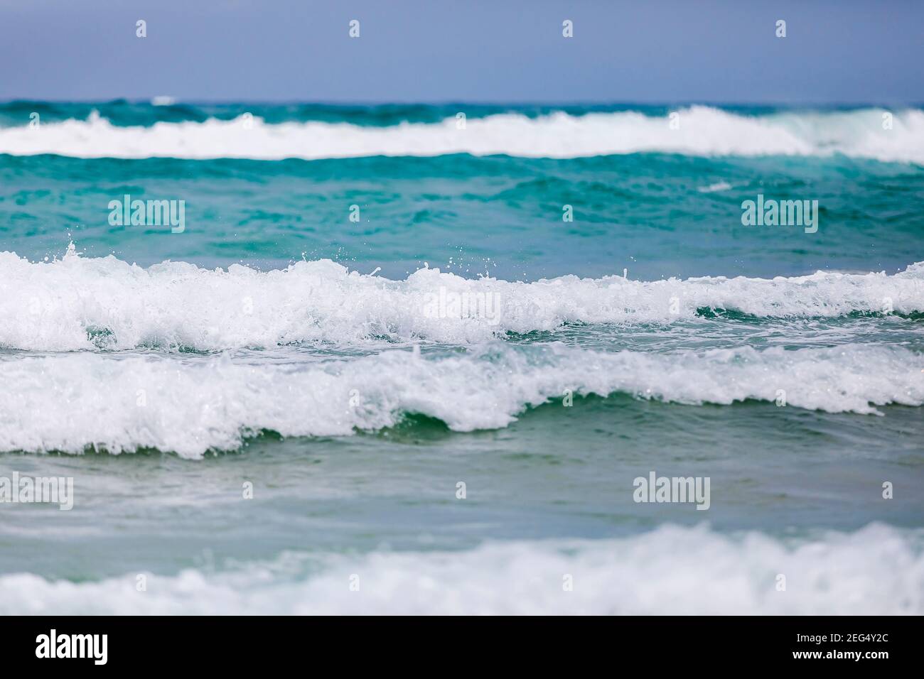 Powerful, stormy, foamy waves are picked up by the wind. White foam ...