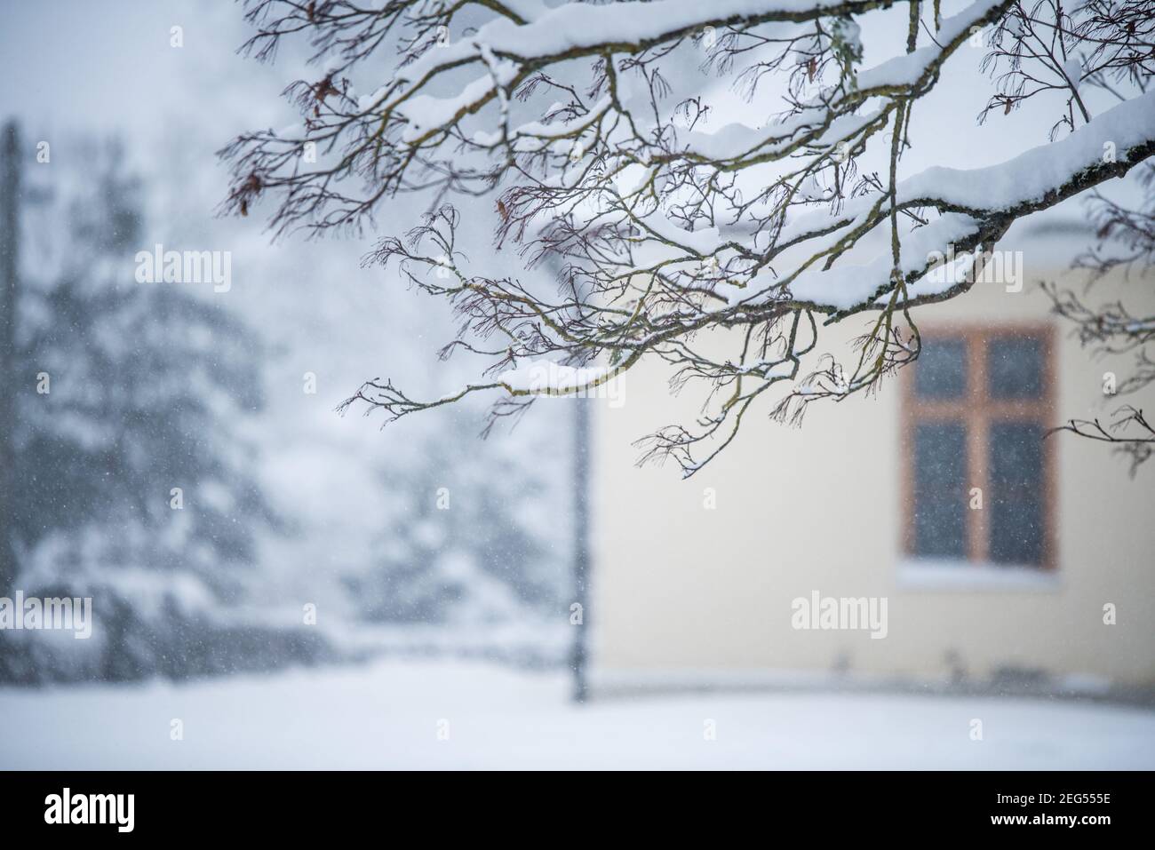 A country house window. Winter garden with snowy trees Stock Photo - Alamy