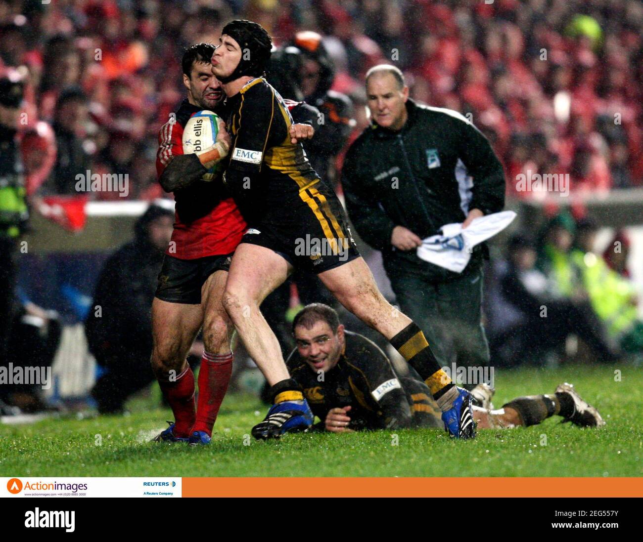 David wallace munster wasps hi-res stock photography and images - Alamy