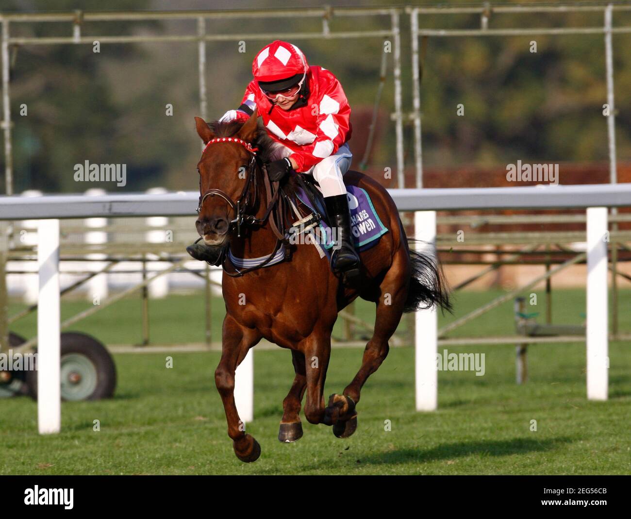 Paul nicholls megan nicholls High Resolution Stock Photography and Images - Alamy