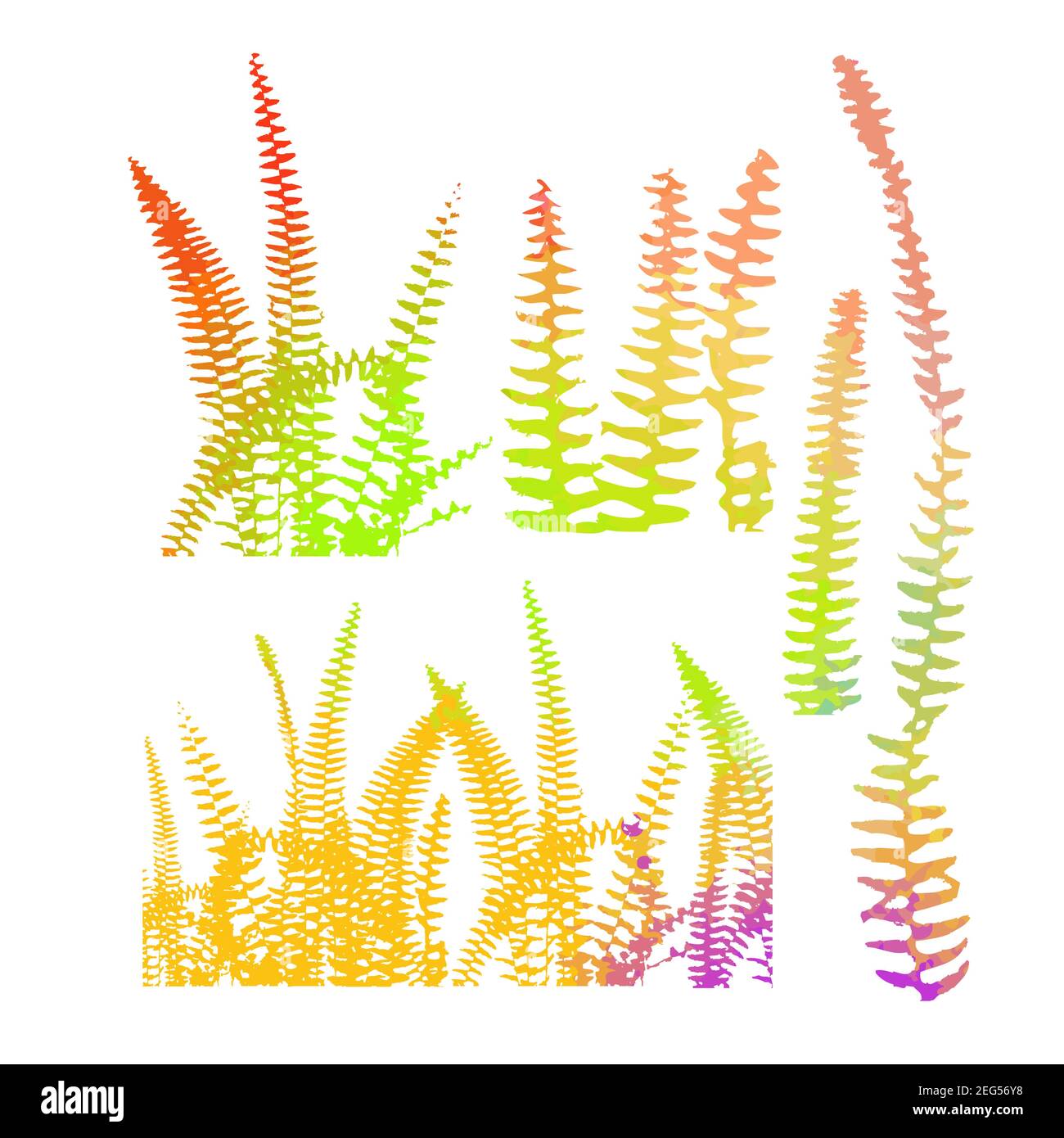 Colorful fern leaves. Vector illustration Stock Vector Image & Art - Alamy