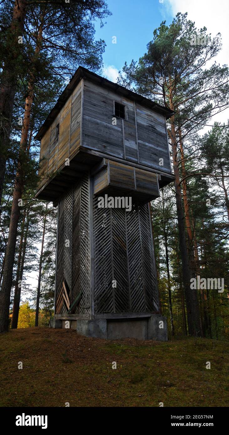 Unusual tower house in the forest. Fancy domus for singleton, and ...