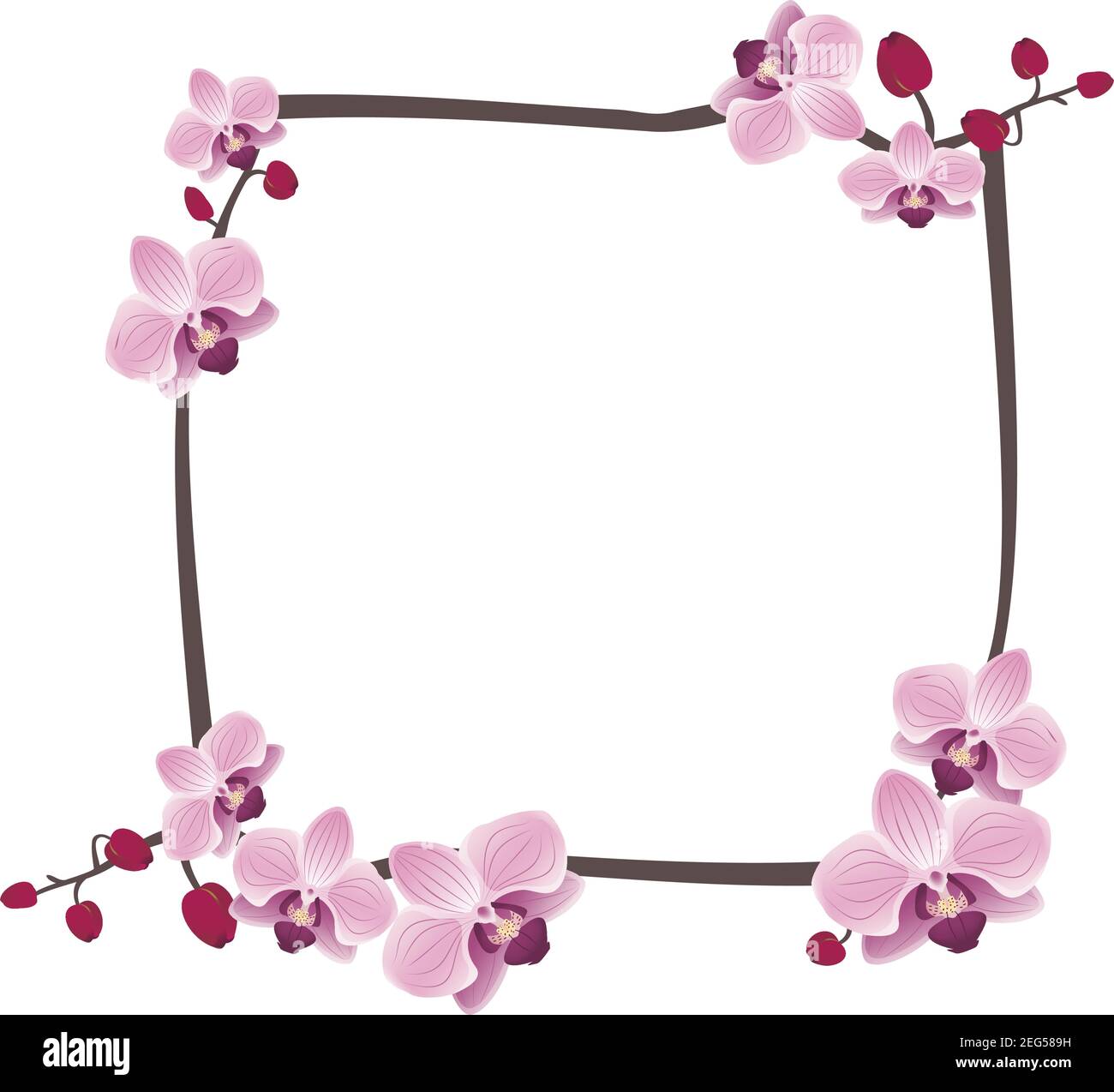 Cute orchids frame Stock Vector Image & Art - Alamy