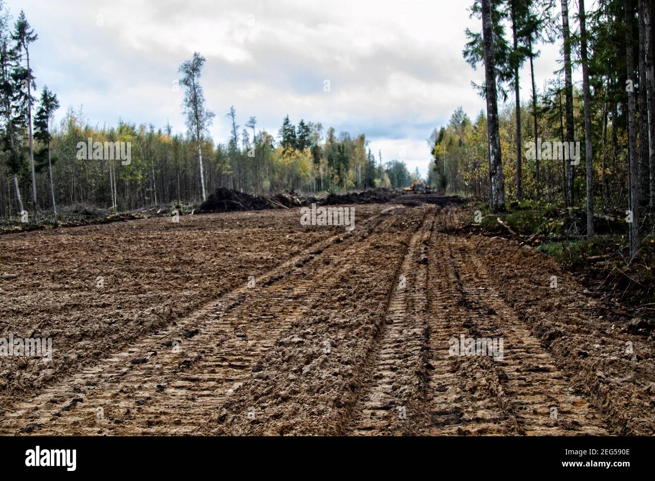 Laying and construction of roads in the forest zone. Initial stage ...