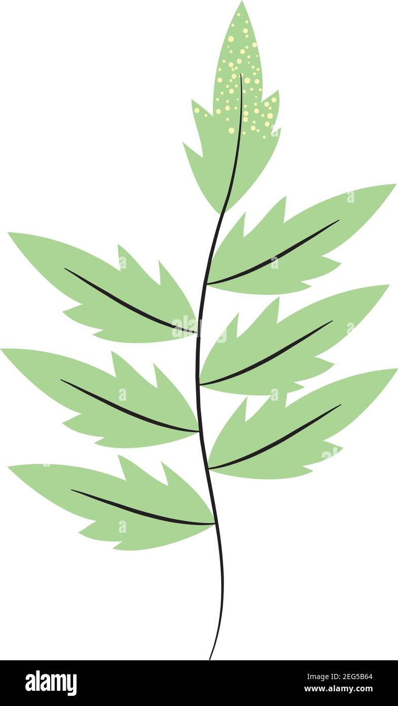 stem with green leaves over white background, colorful design, vector ...