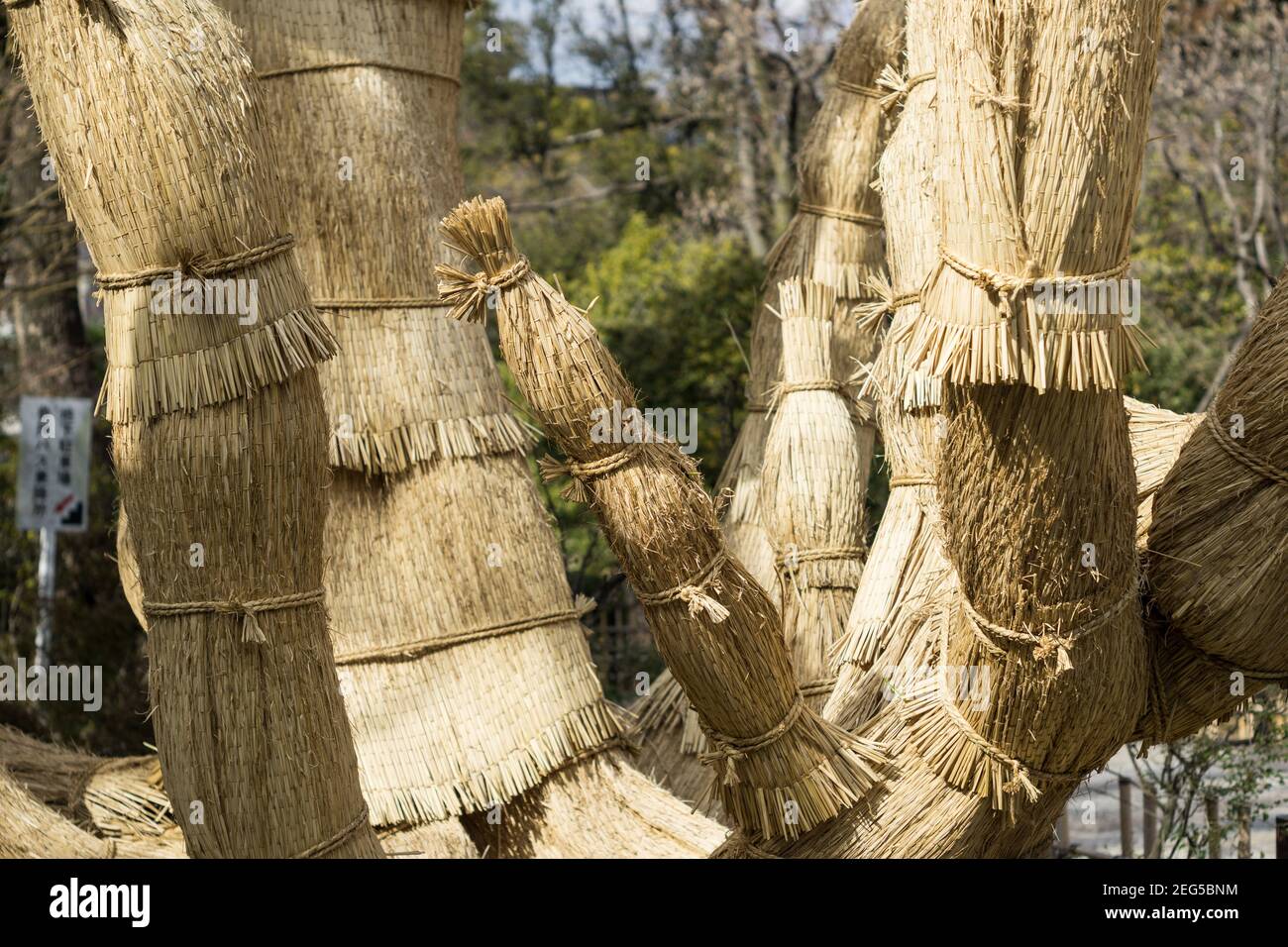 Japanese tree protection hi-res stock photography and images - Alamy