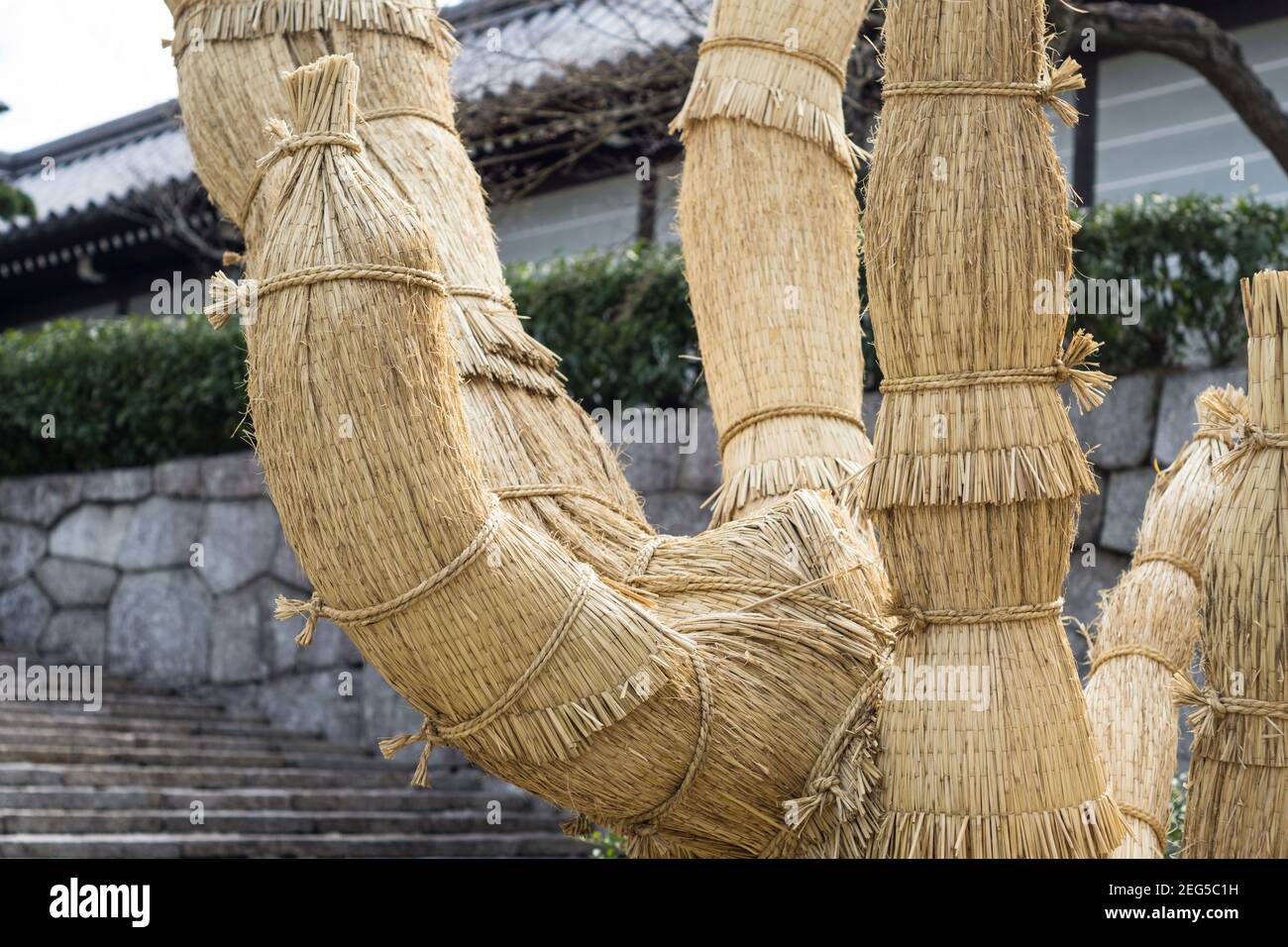 Japanese tree protection hi-res stock photography and images - Alamy