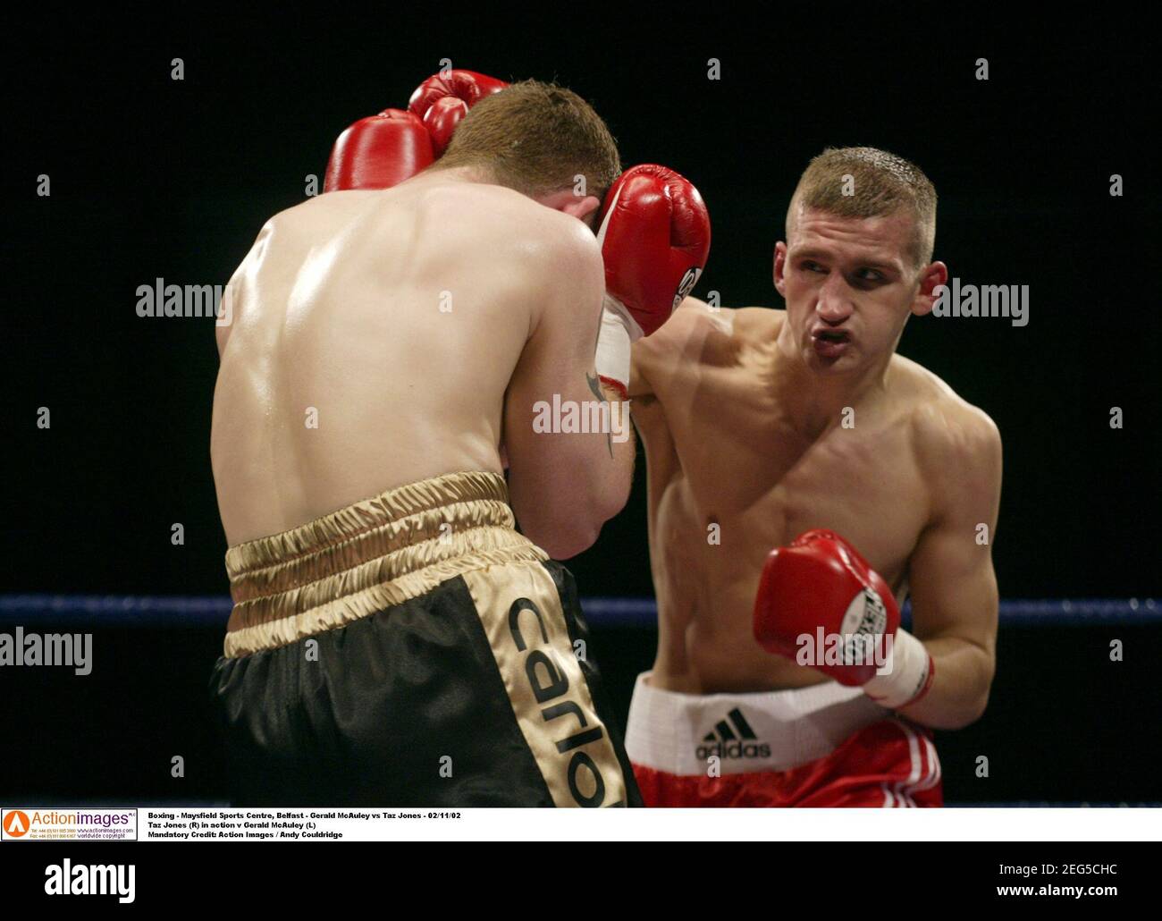 Taz jones hi-res stock photography and images - Alamy