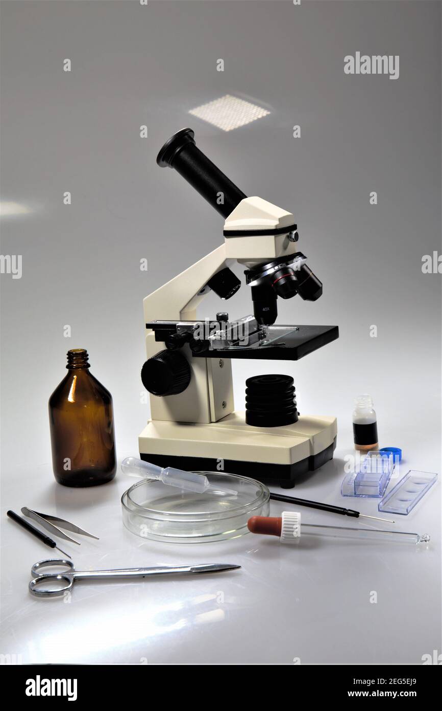 scientist looking through microscope Stock Photo - Alamy