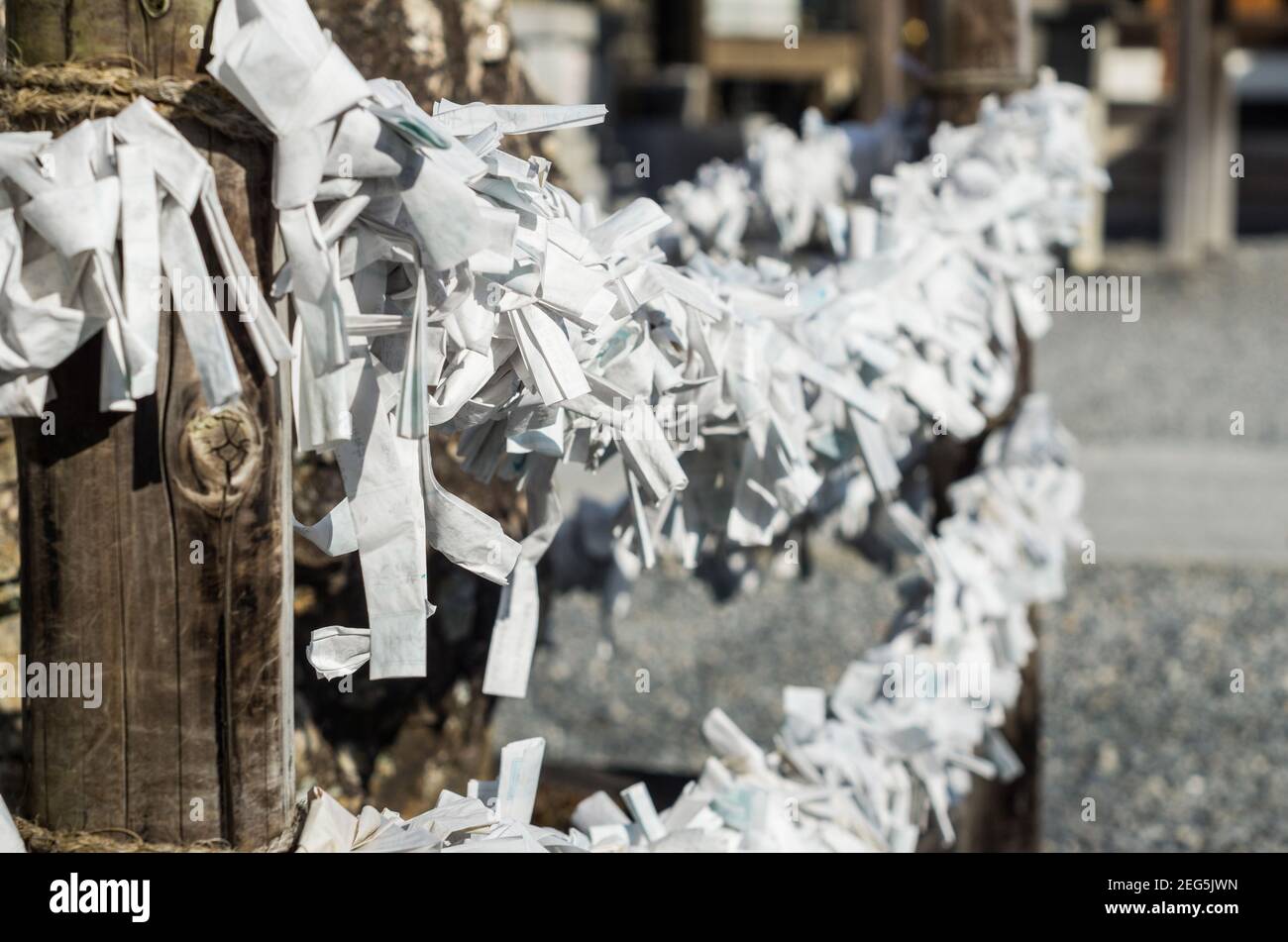Close up detail of hundreds of Omikuji paper fotrune telling slips tied ...
