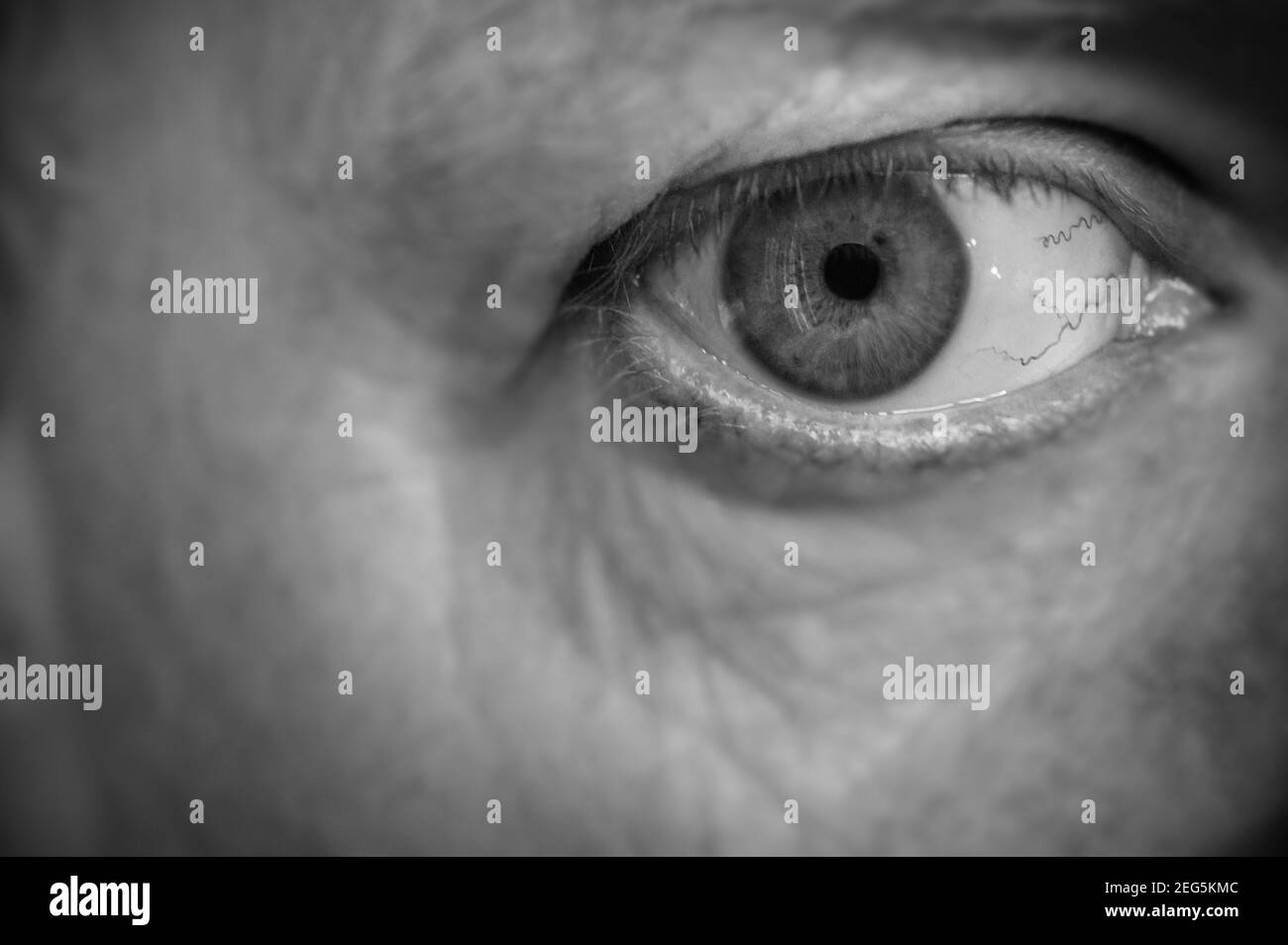 Human eye male close hi-res stock photography and images - Alamy