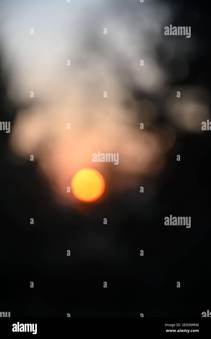 Early morning sun rising in between dark trees with out of focus bokeh ...