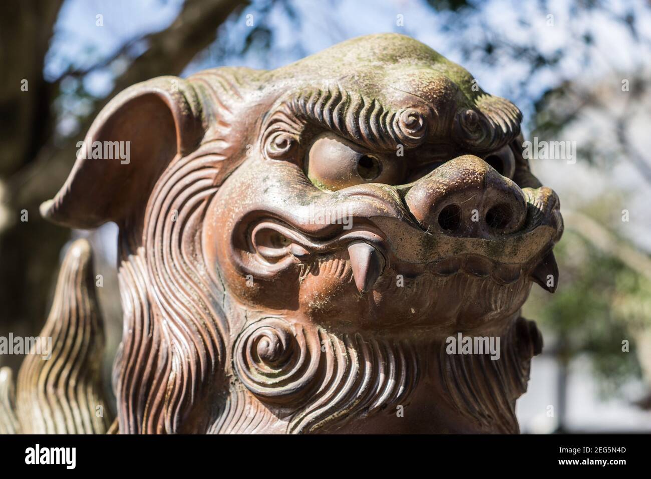 A komainu lion-dog statue guarding the entrance to Myoken-do, a small ...