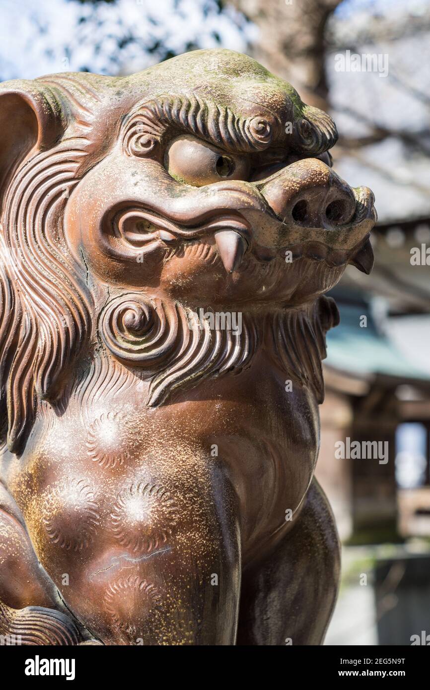 A komainu lion-dog statue guarding the entrance to Myoken-do, a small ...